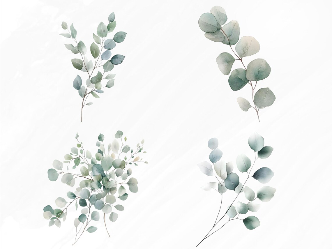 Watercolor Eucalyptus Leaves Clipart, Eucalyptus PNG, Greenery Leaves ...