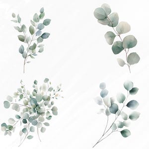 Watercolor Eucalyptus Leaves Clipart, Eucalyptus PNG, Greenery Leaves ...