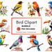 70 Watercolor Birds PNG Clipart Bundle, Vibrant Watercolor Bird ...