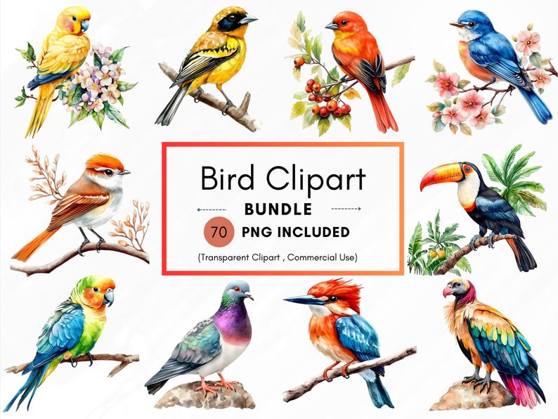 70 Watercolor Birds PNG Clipart Bundle, Vibrant Watercolor Bird ...