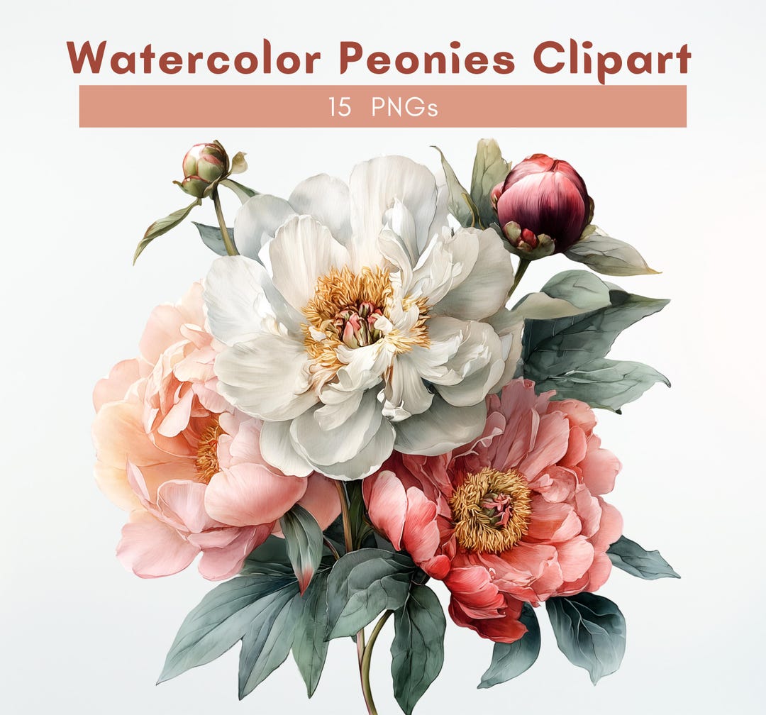 Watercolor Peonies Clipart • 15 PNG Floral Bouquets • Blush Pink Flower ...