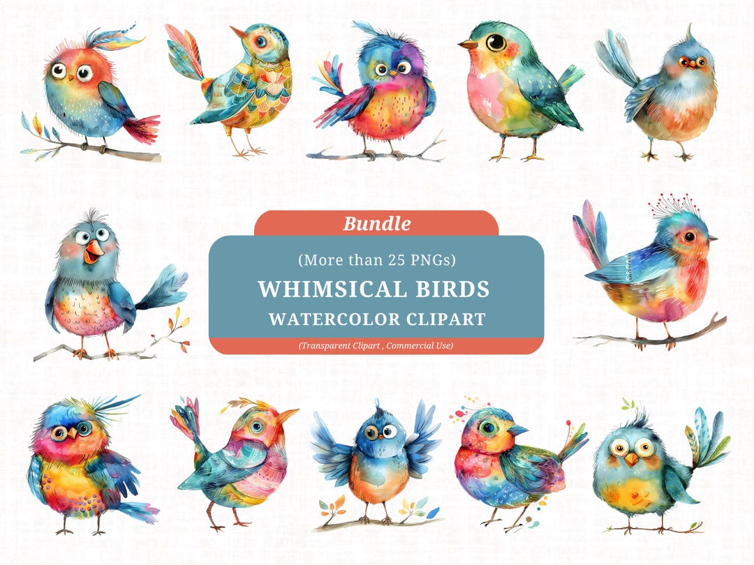 30 Cute Whimsical Bird Clipart, Funny Bird Clipart, Watercolor Clipart ...