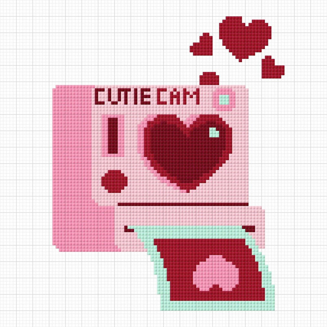 Polaroid Needlepoint Cross Stitch Pattern - Etsy