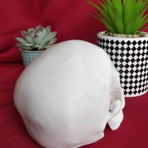 Human Skull Decoration Sculpture - Etsy