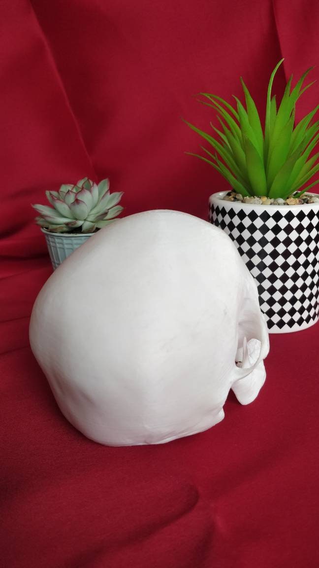 Human Skull Decoration Sculpture - Etsy