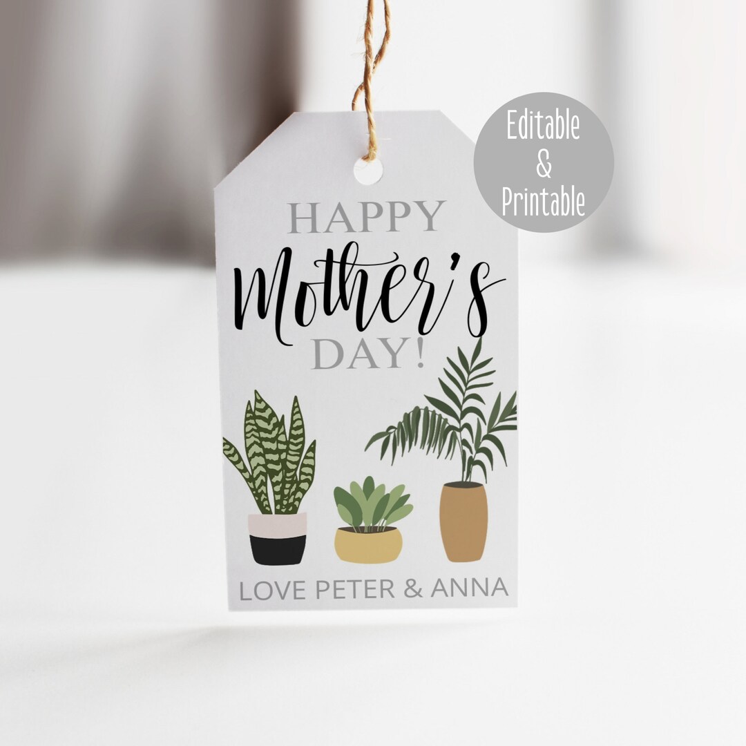 Editable Mother's Day Gift Tags Printable, Cookie Tag, Treat Bag Tag ...