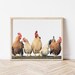 Chicken Print, Kitchen Wall Art, Rooster, Hen, Farm Animal, Chicken ...