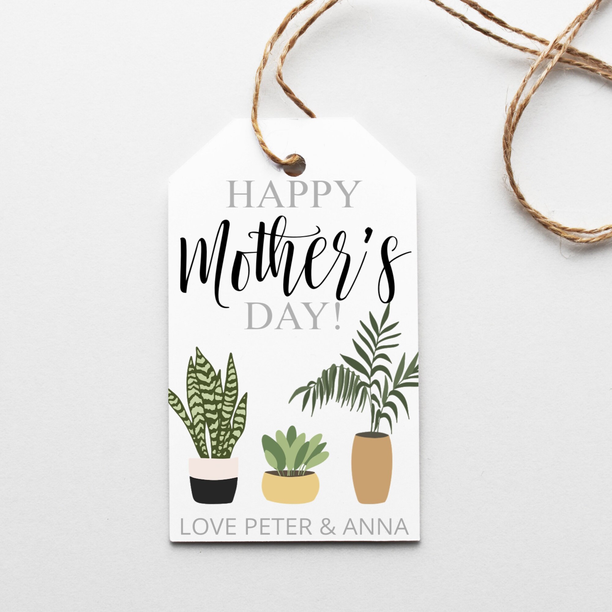 Editable Mother's Day Gift Tags Printable, Cookie Tag, Treat Bag Tag ...