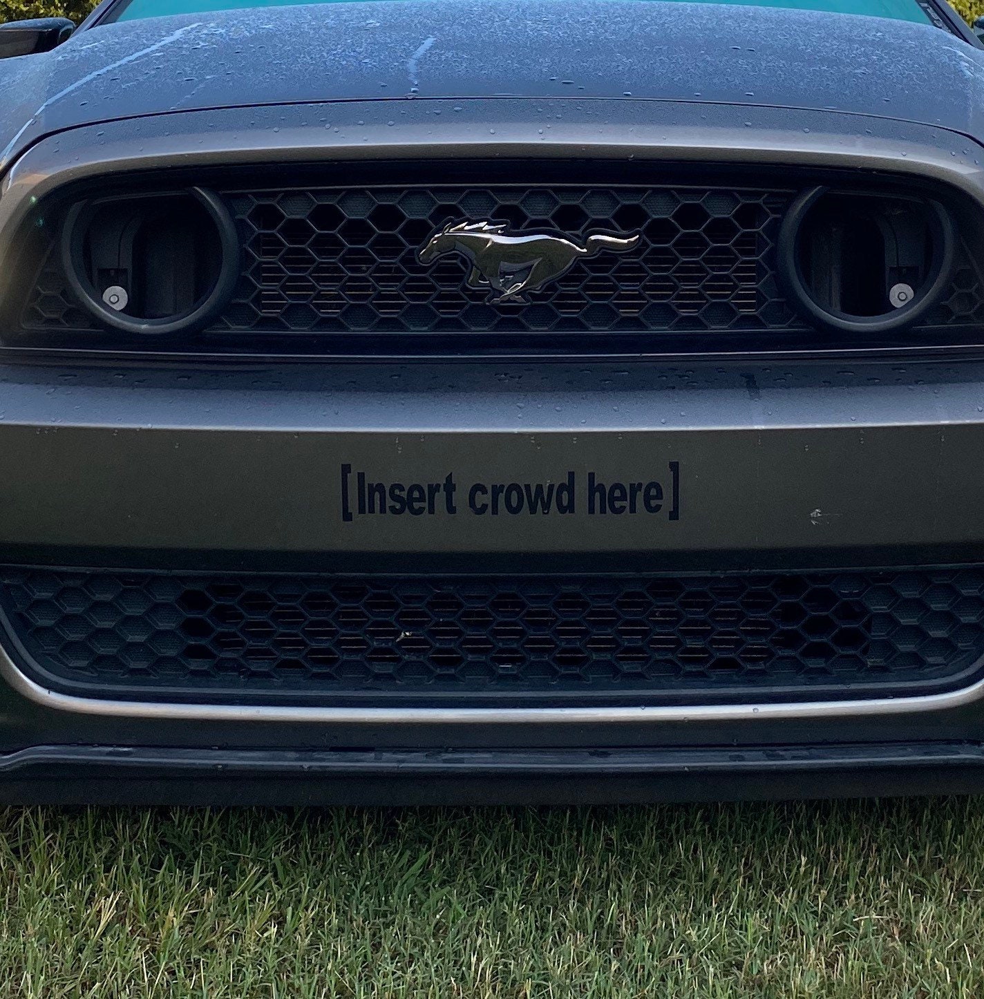 Funny Ford Mustang Sayings