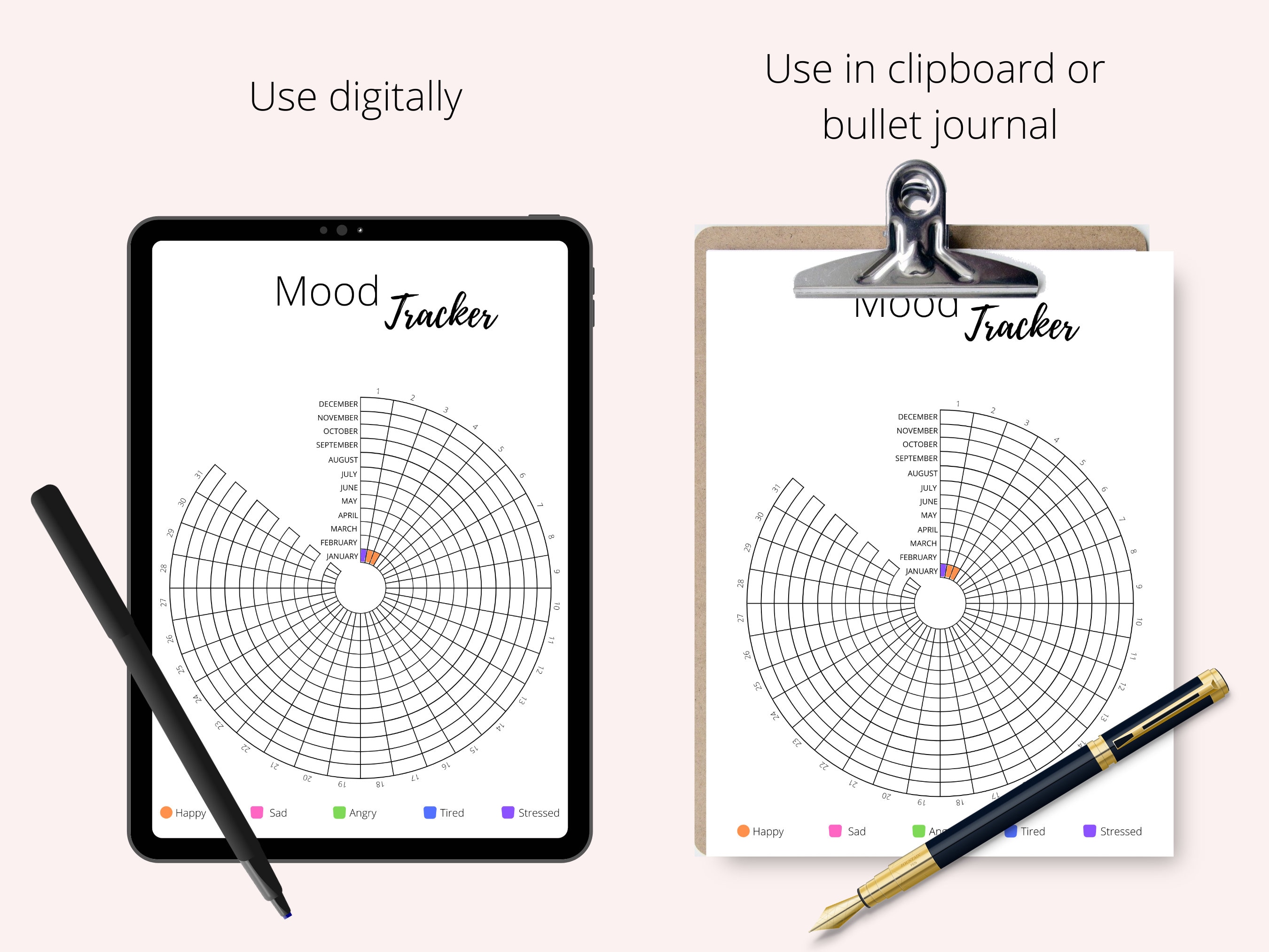 12 Month Wheel Tracker Circle Tracker Editable Habit Wheel | Etsy
