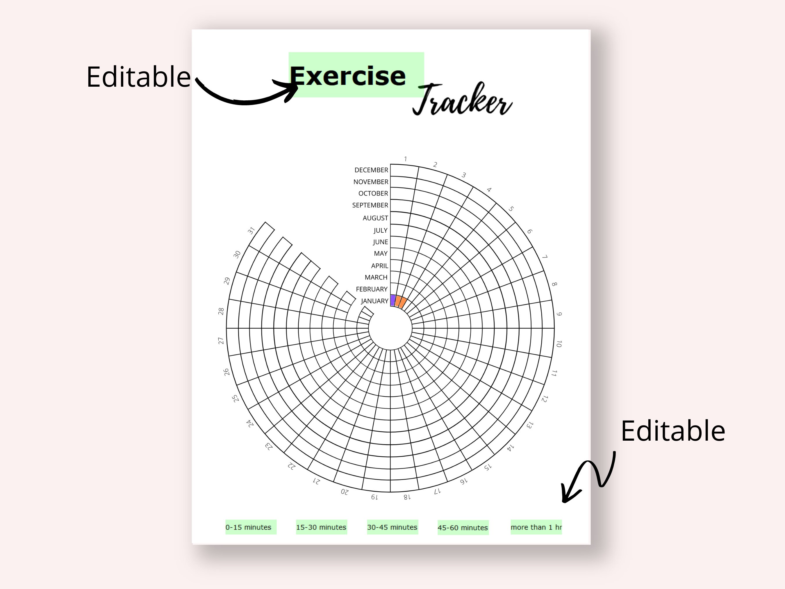 12 Month Wheel Tracker Circle Tracker Editable Habit Wheel | Etsy