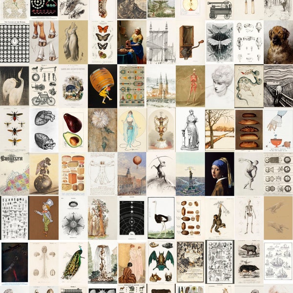 Light Academia - Etsy