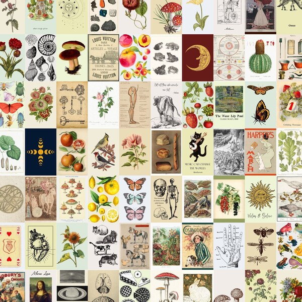 Cottagecore Posters - Etsy