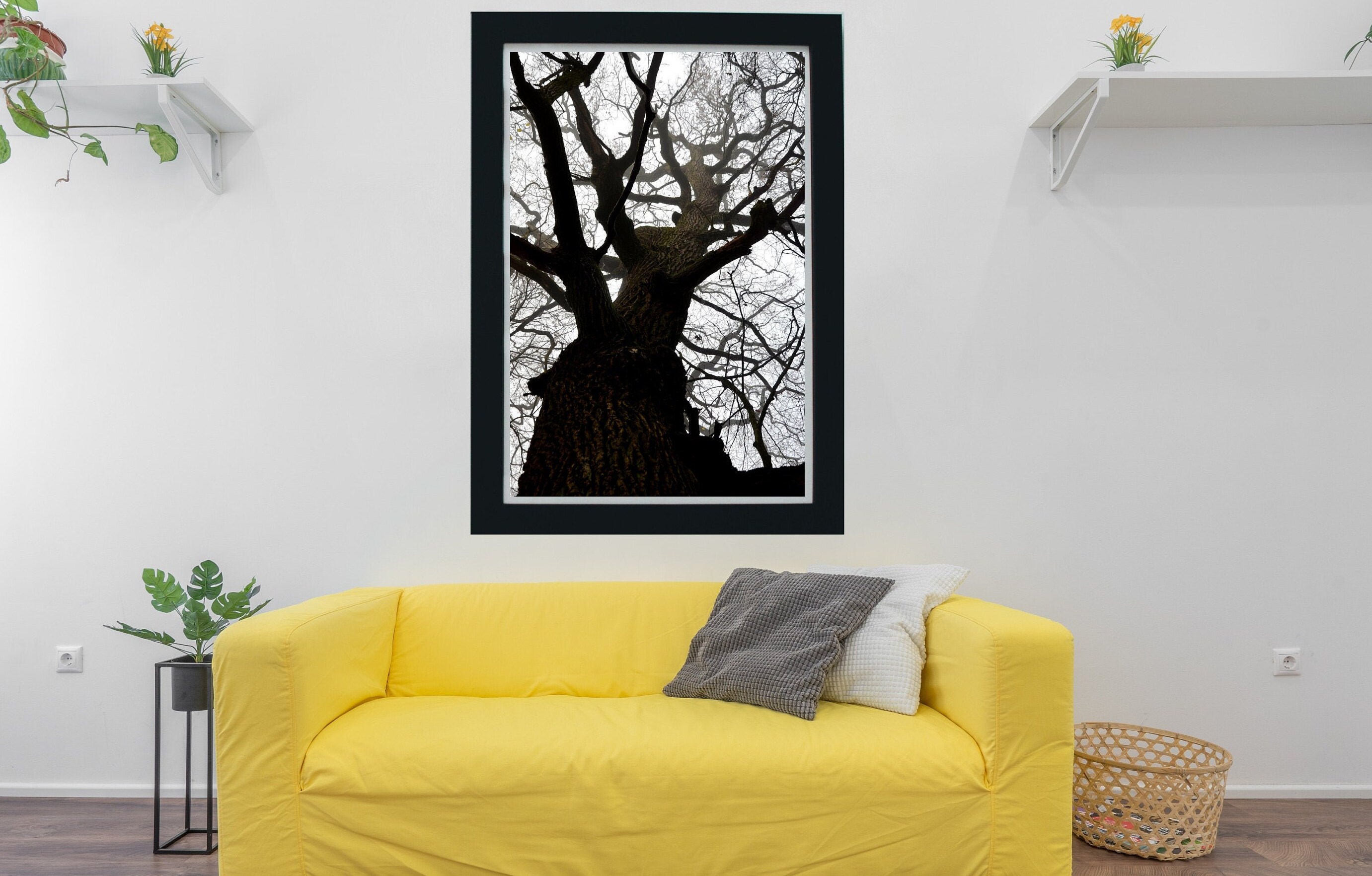 Oak TREE photo Printable Wall Art Poster Digital Download | Etsy