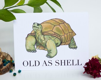 Turtle Pun Card - Etsy
