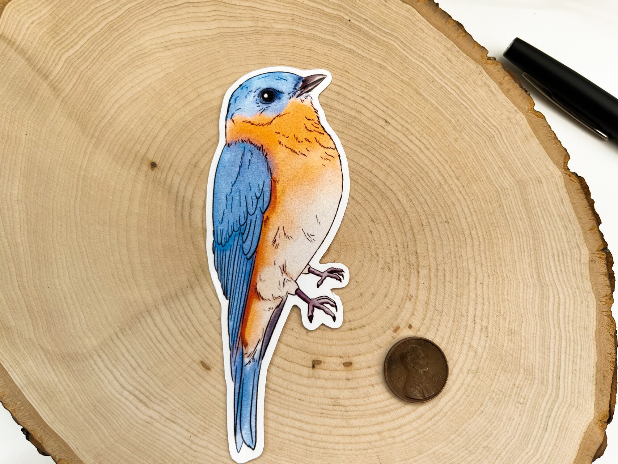 Eastern Bluebird Sticker, Bird Sticker, Matte Sticker, Cute Matte ...