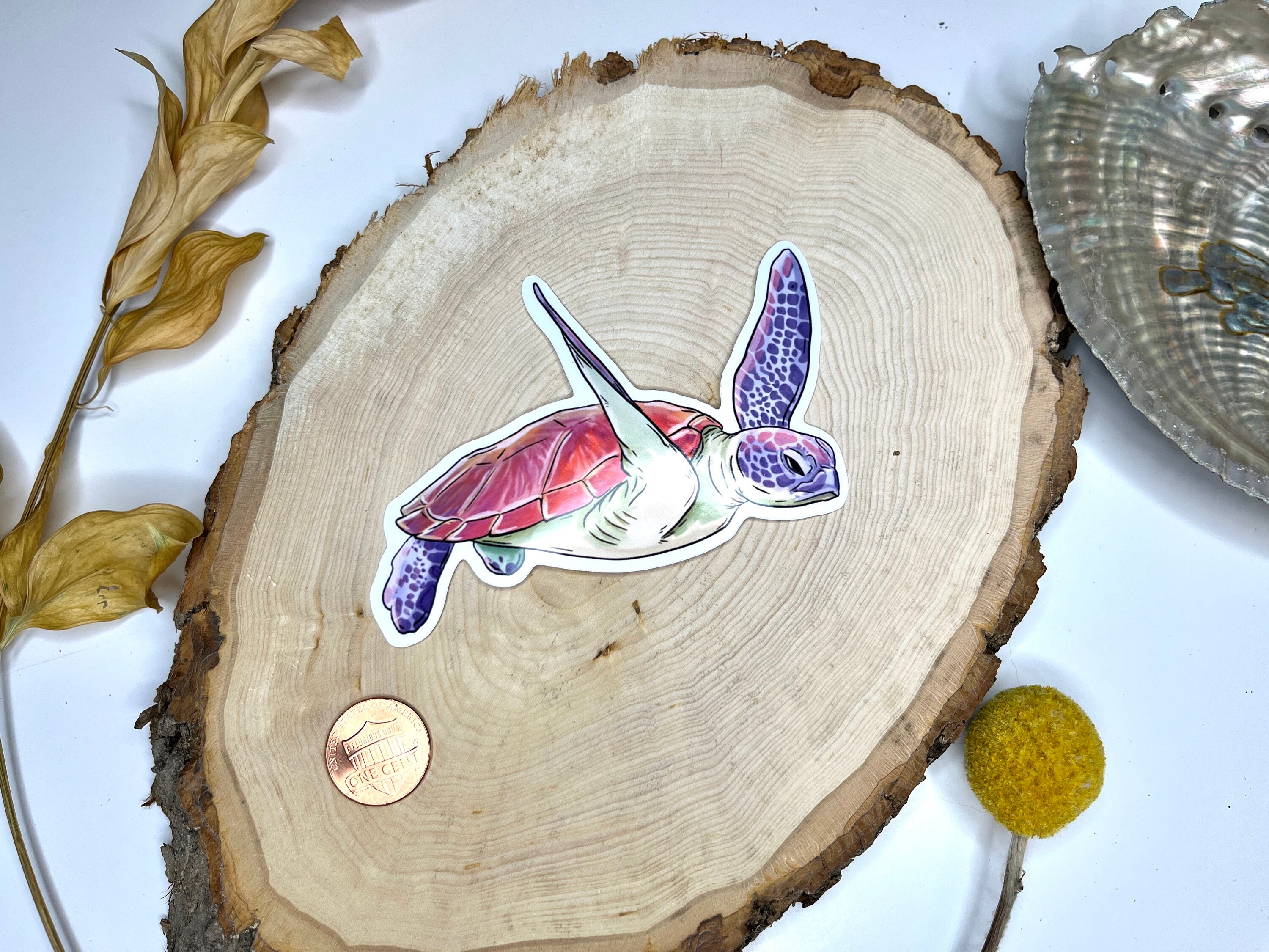Sea Turtle Sticker, Sea Animal Sticker, Sticker Gifts, Cute Matte ...