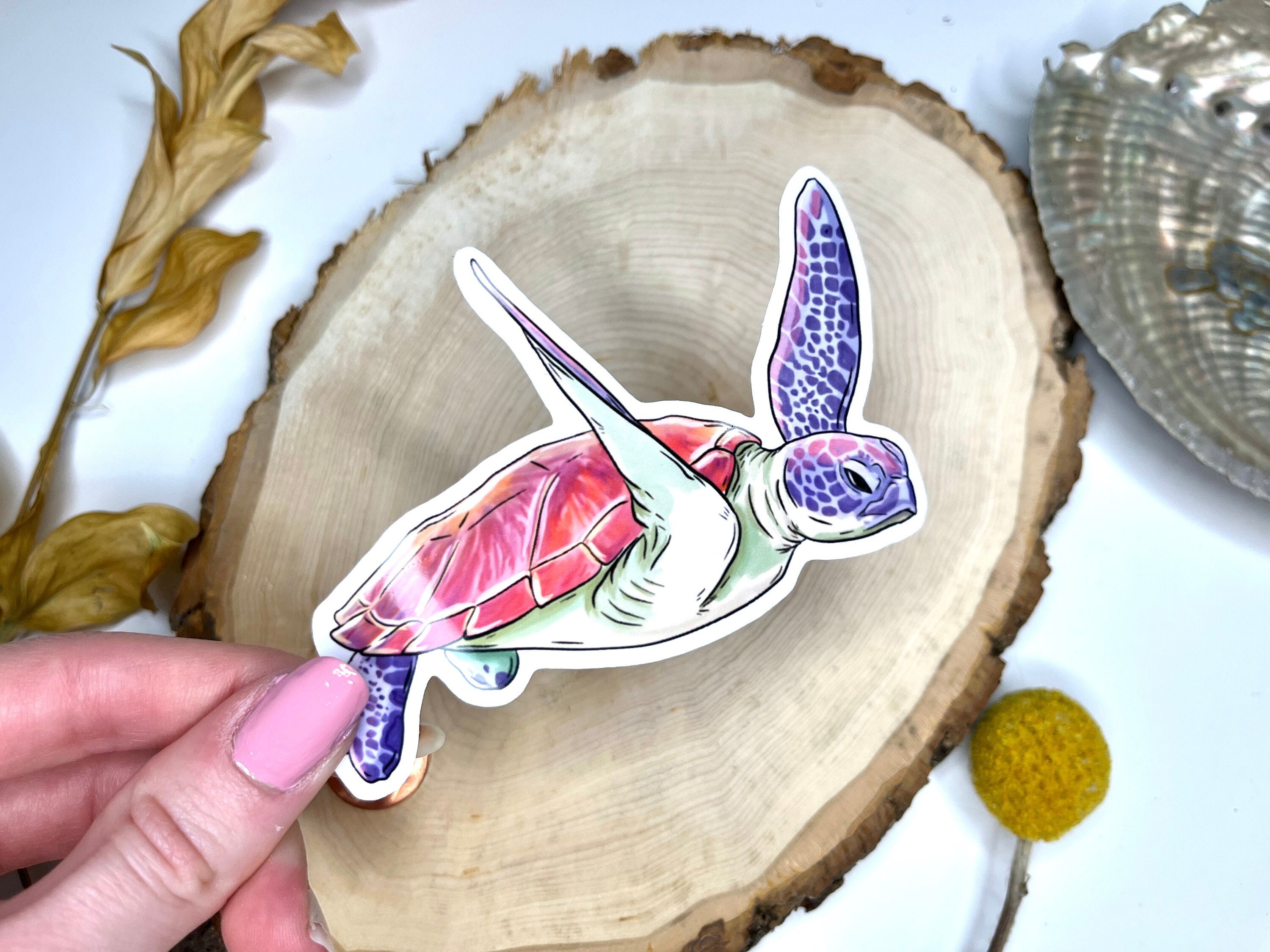 Sea Turtle Sticker, Sea Animal Sticker, Sticker Gifts, Cute Matte ...