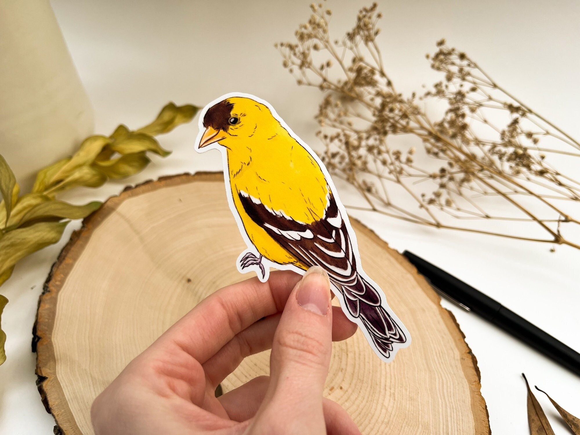 The Goldfinch Sticker - Etsy