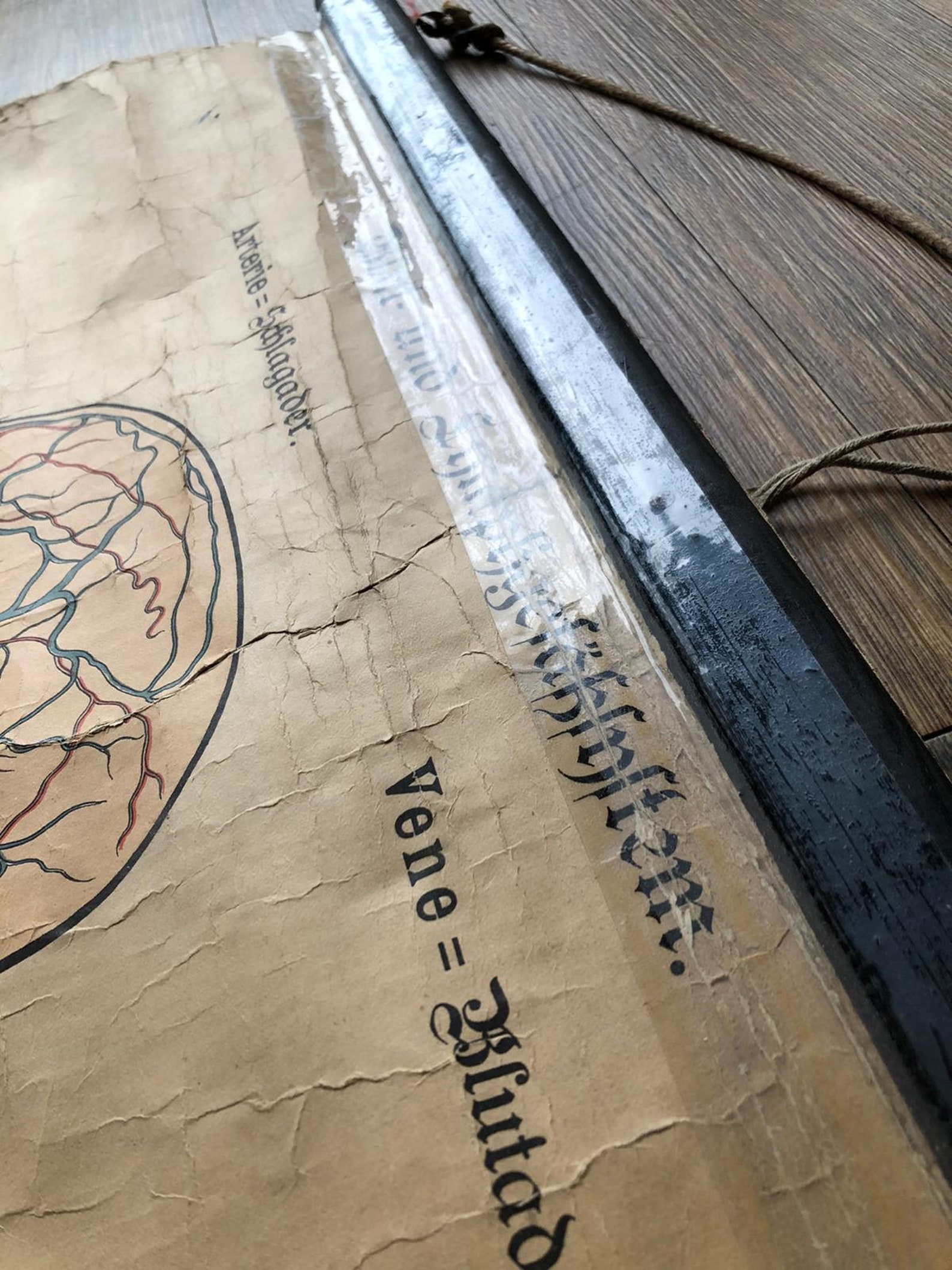 Roll Down Wall Chart Medical Human Anatomy. German Vintage - Etsy