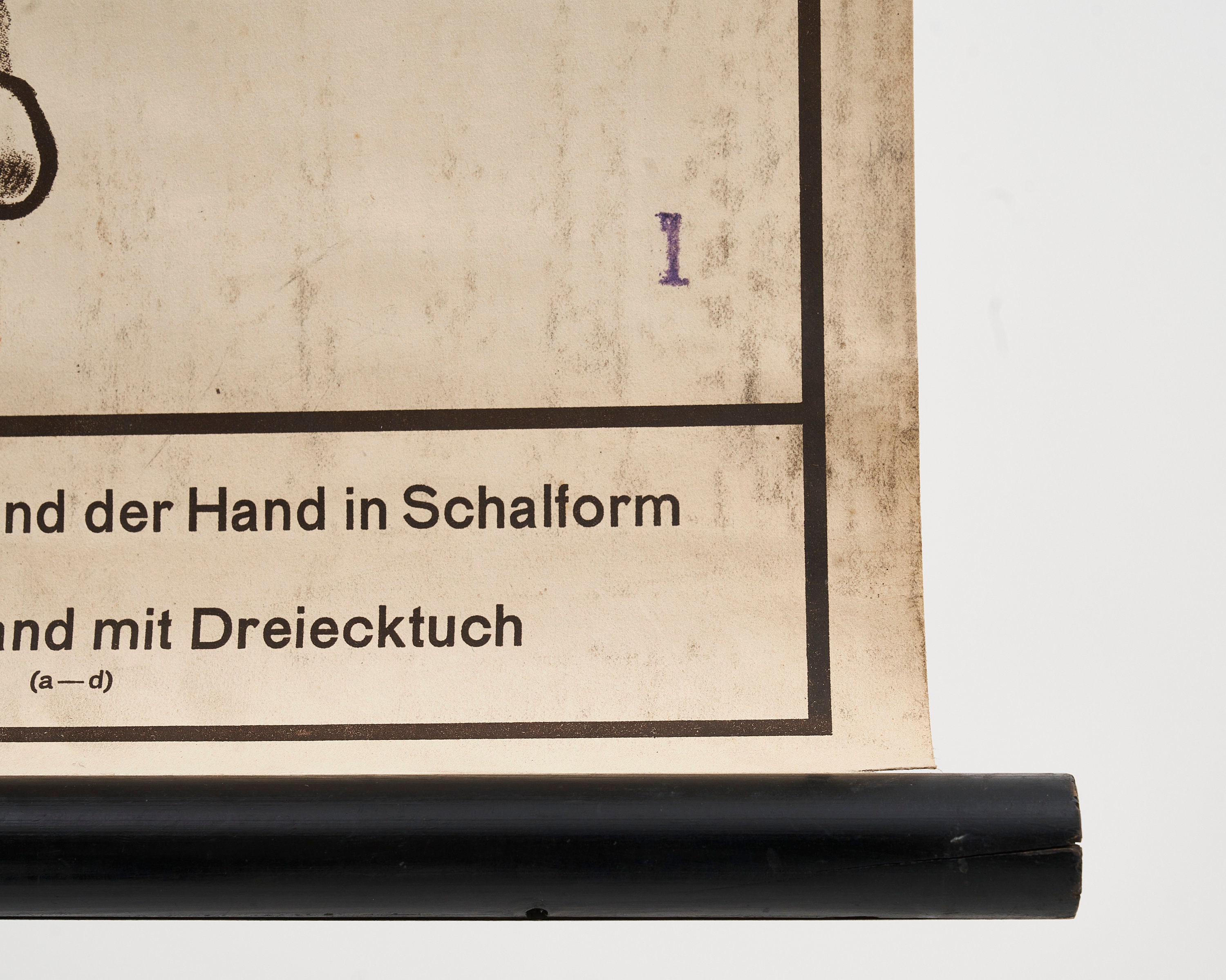 Roll Down Wall Chart / Print - Medical, Anatomy. German Vintage School ...