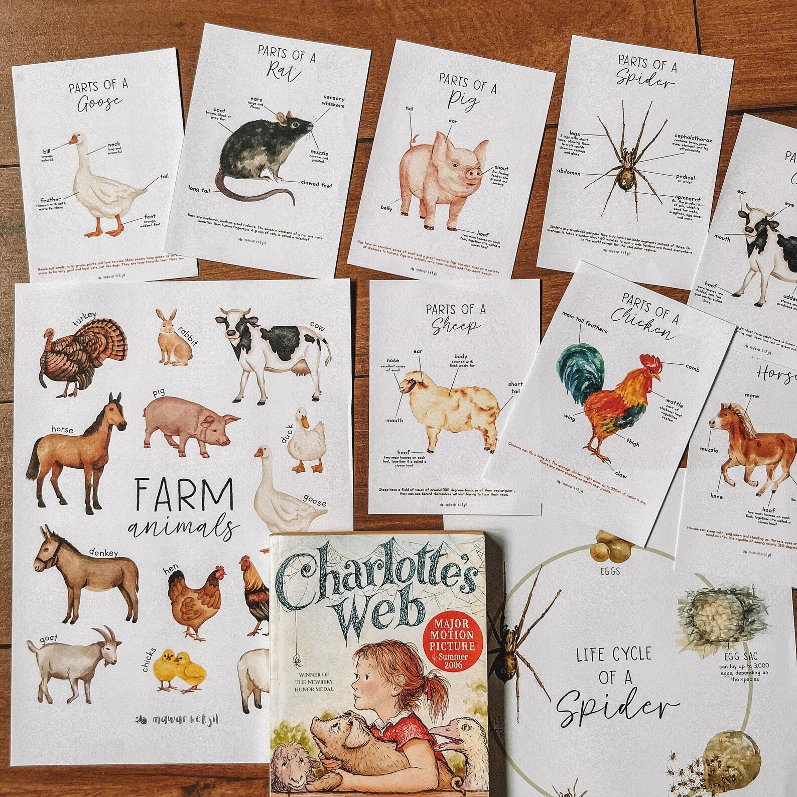 Charlotte’s Web Companion Study – Printable Homeschool Unit Study ...