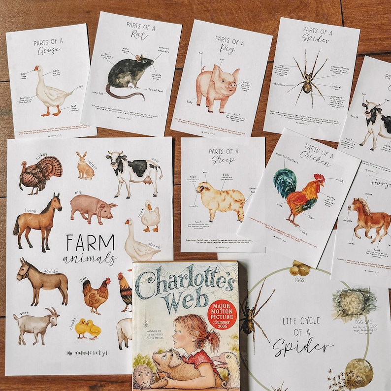 Charlotte’s Web Companion Study – Printable Homeschool Unit Study ...