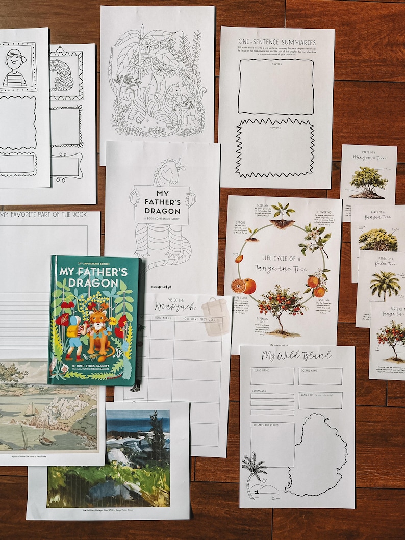 My Father’s Dragon Companion Study – Printable Homeschool Unit Study ...