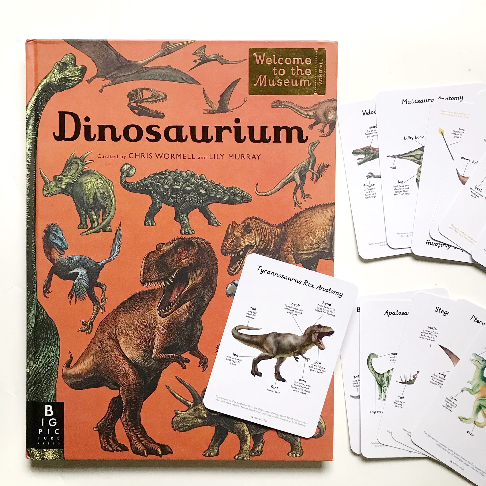 Anatomy Cards - Dinosaurs - Etsy