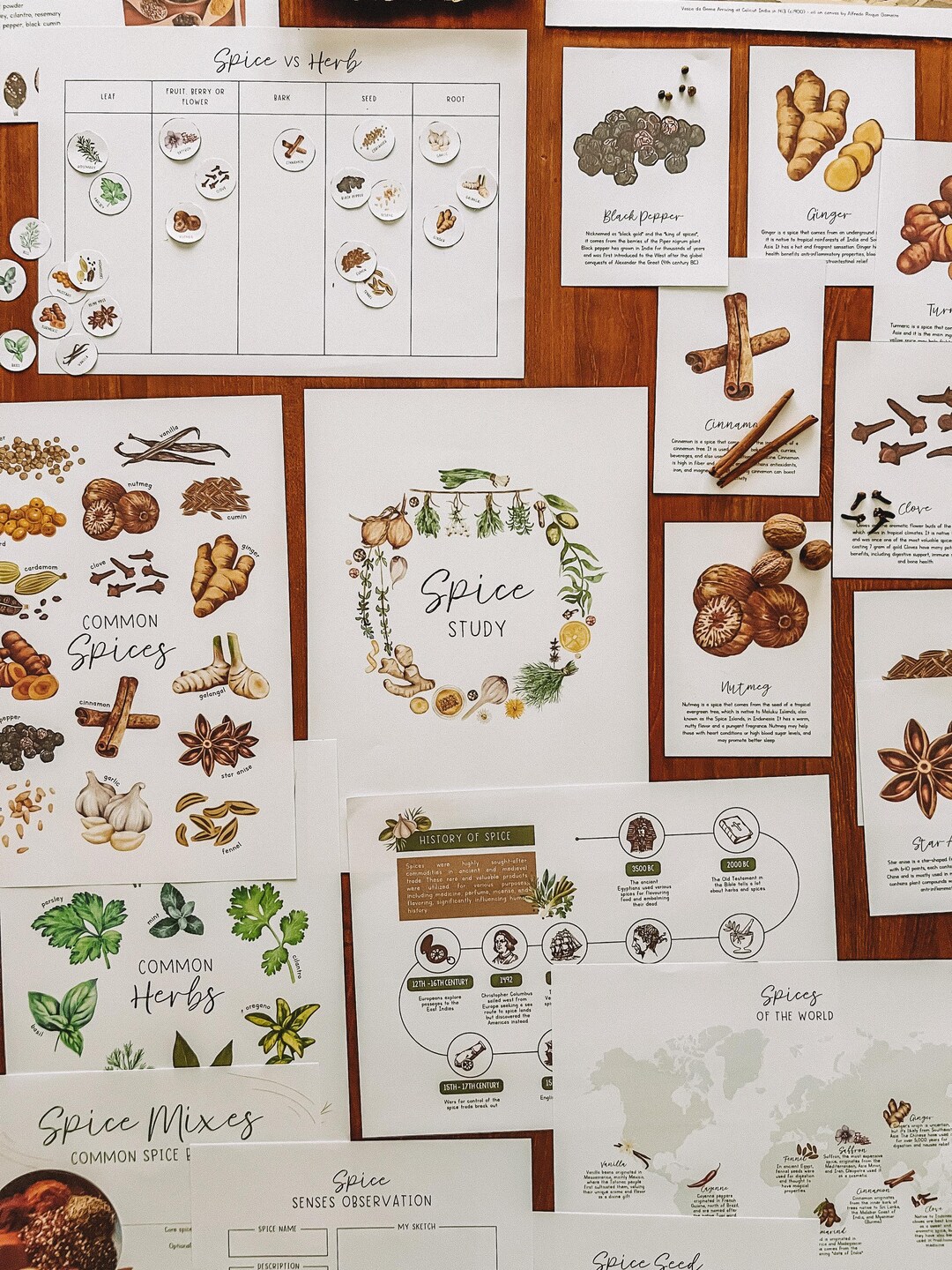 Spice Study - Nature Study Homeschool Resource - Etsy