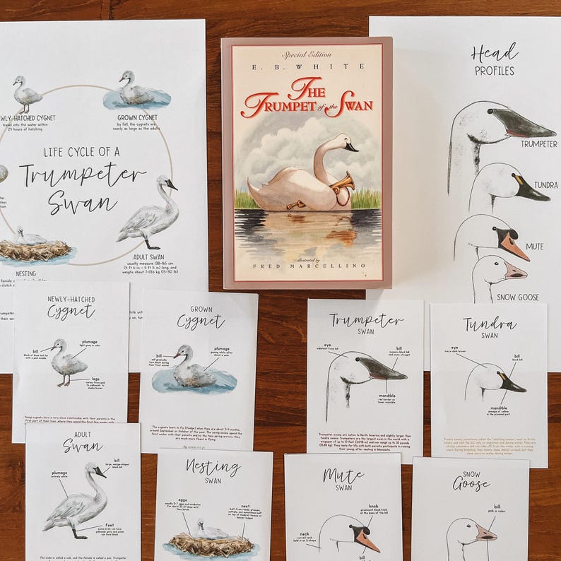 The Trumpet of the Swan Companion Study – Printable Homeschool Unit ...