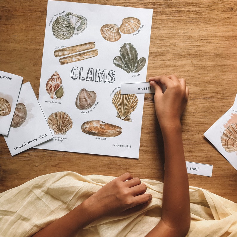 One Morning in Maine - Picture Book Study Pack - Etsy