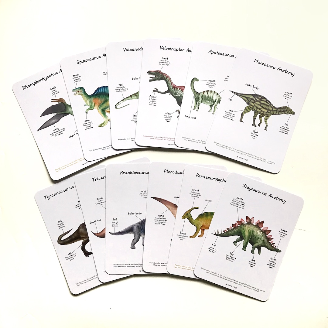 Anatomy Cards - Dinosaurs - Etsy
