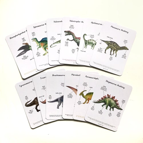 DINOSAURS 20 Editable Montessori Cards Flash Cards - Etsy