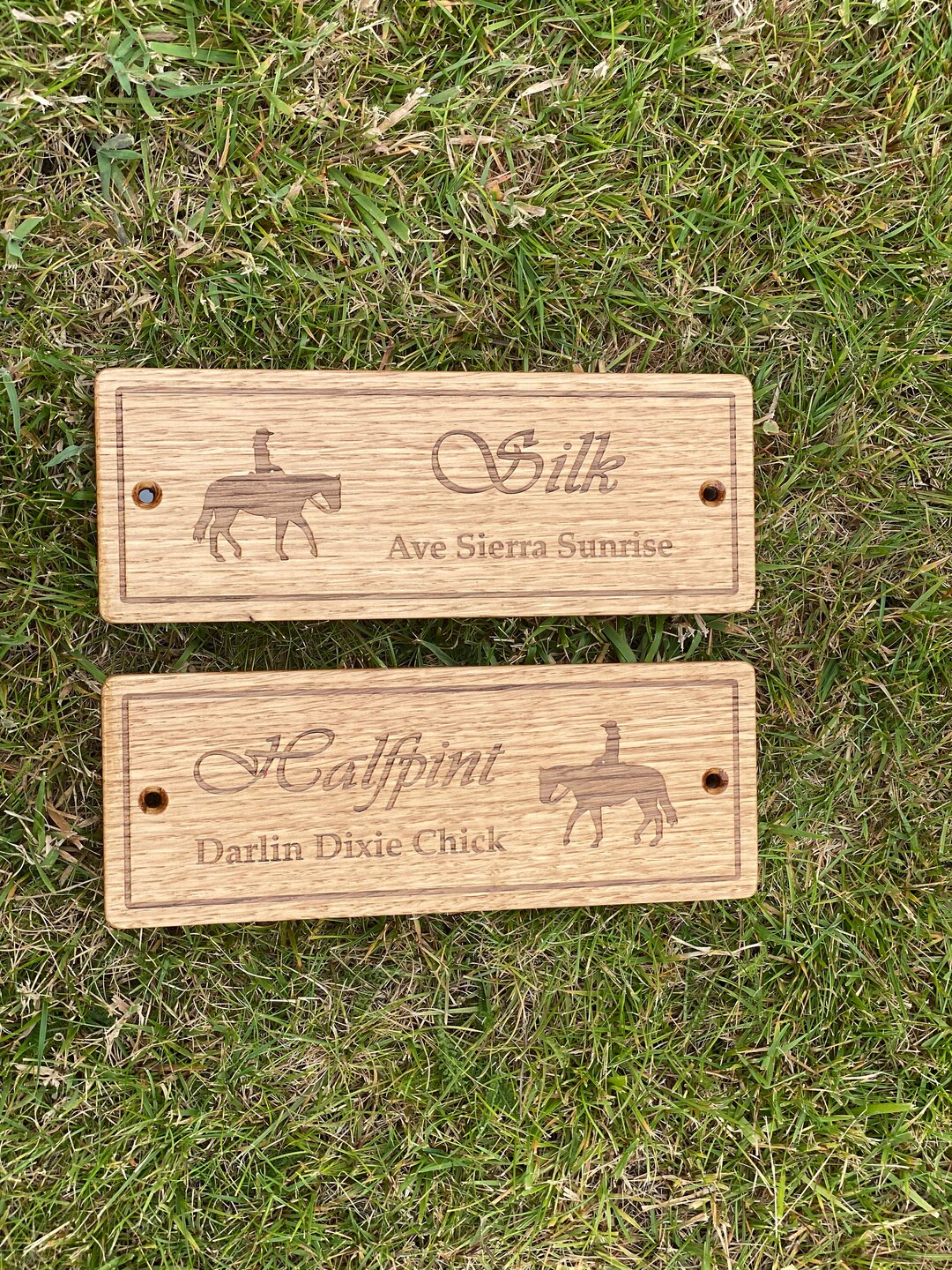 Stable Door Sign, Solid Oak, Horse Stall Sign, Horse Stall Name Plate ...