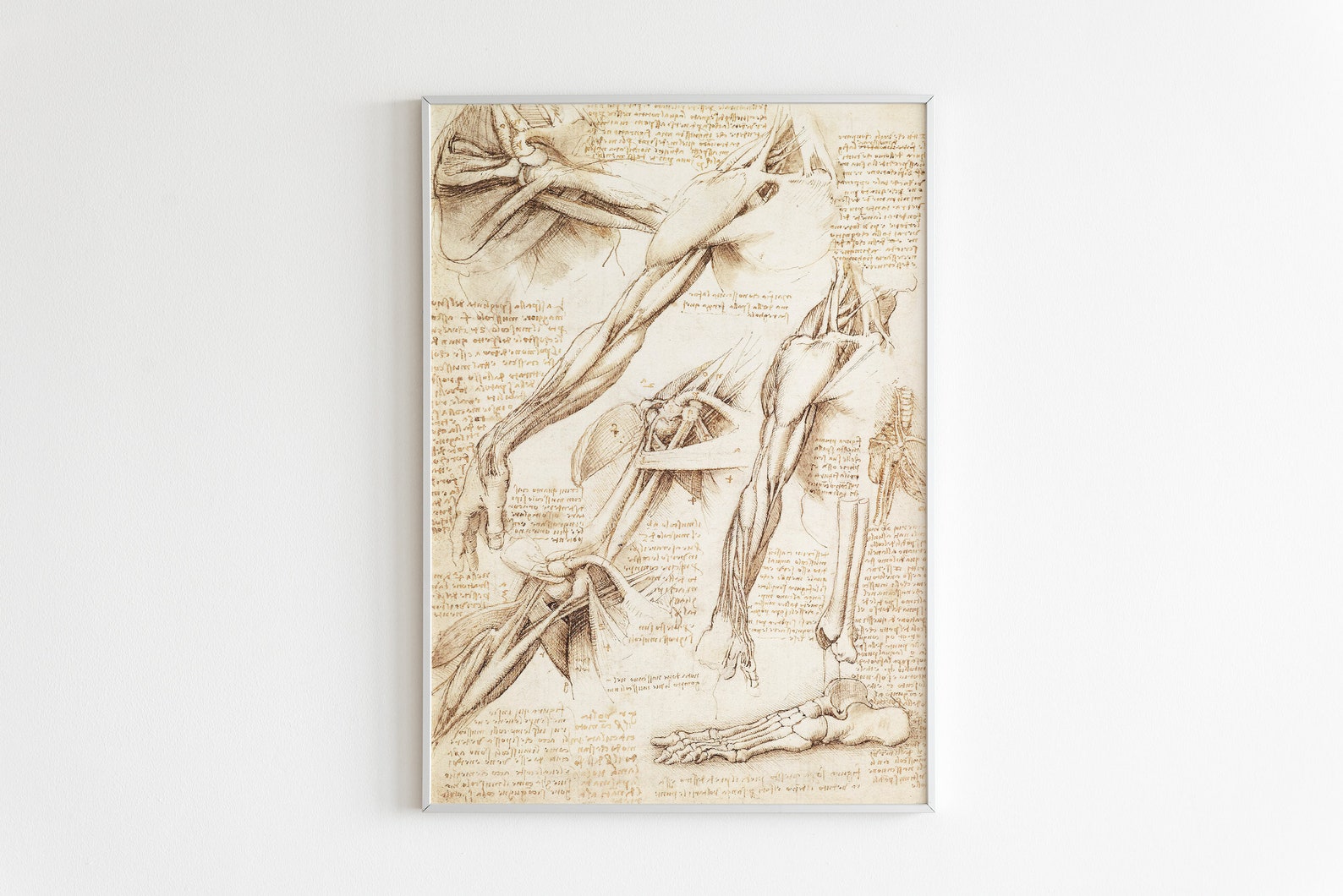Leonardo Da Vinci POSTER II: Reproduction of Da Vinci Drawing - Etsy