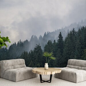 Forest Wall Mural/ Nature Wall Mural/ Spruce Forest Wall Mural/ Foggy ...