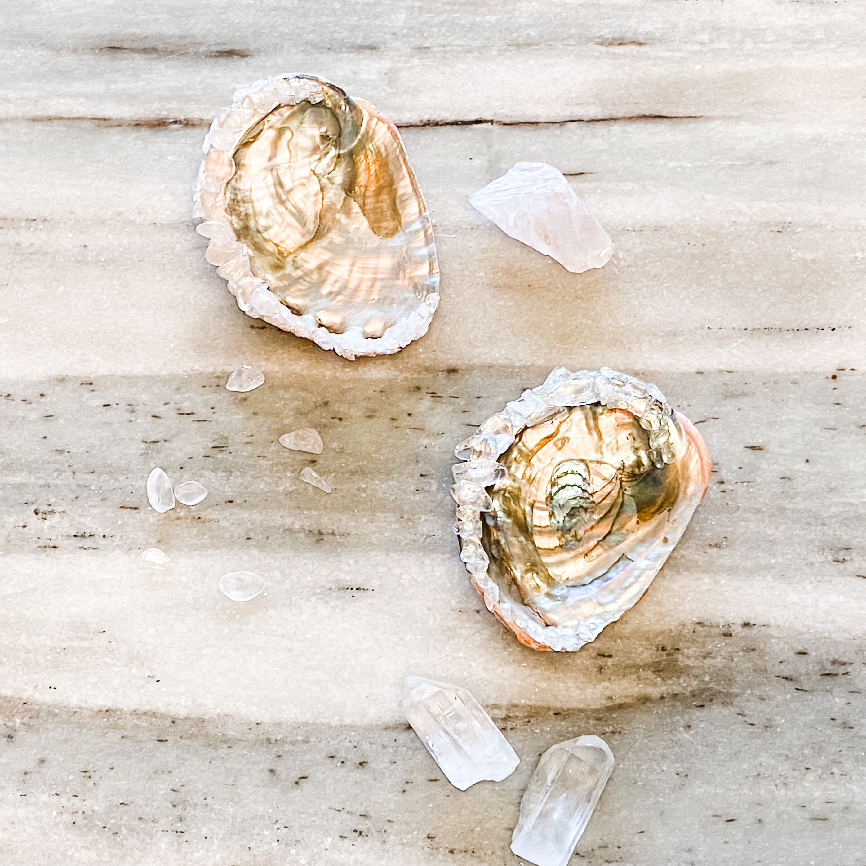 Light Abalone Shell Embellished With Choice of Clear Quartz, Rose ...