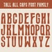 Ramona Typeface | Vintage Font - Etsy