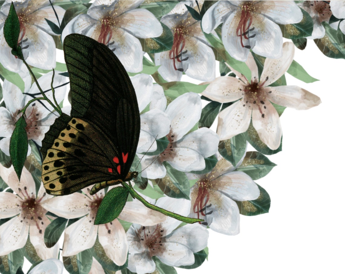 Printable Butterfly and Botanical Letter Writing Paper, Digital ...