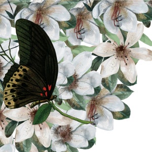 Printable Butterfly and Botanical Letter Writing Paper, Digital ...