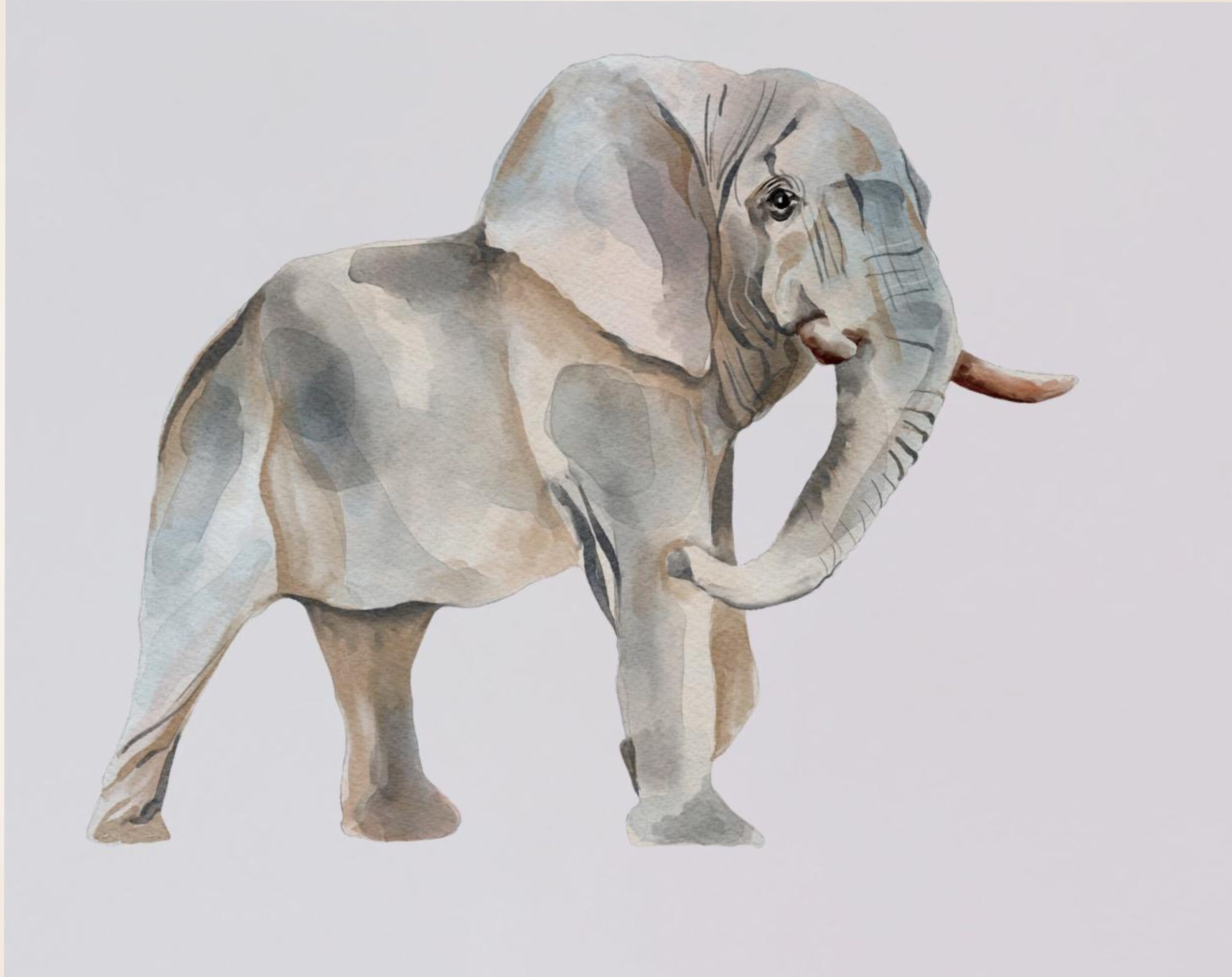 Elephant Printable Stationery, Digital Download, Digital Letter Writing ...