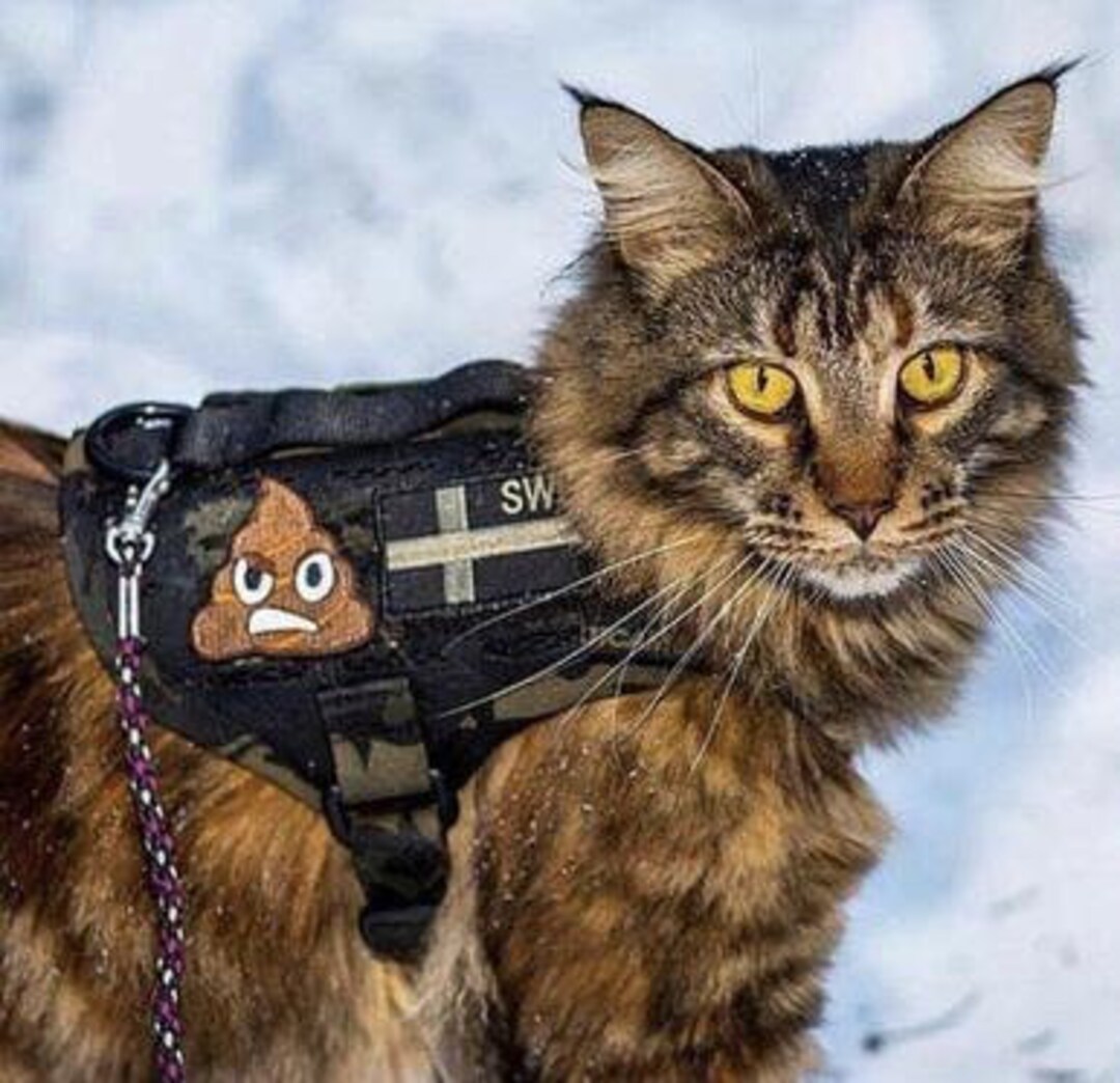 STINKY POOP Morale Patch - Etsy