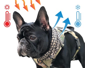 Men Shemagh / Scarf for Men / Afghani Men Scarf - Etsy