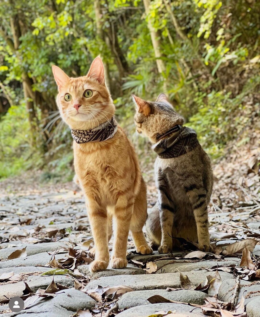 Cooling Shemagh Scarf - Etsy