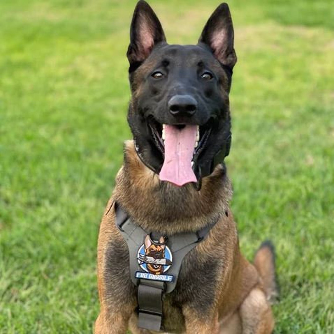 FUR MISSILE Morale Patch - Etsy