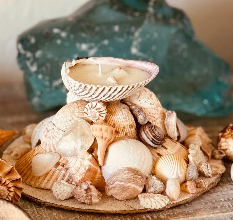 Sanibel Seashell Centerpiece With Candle - Etsy