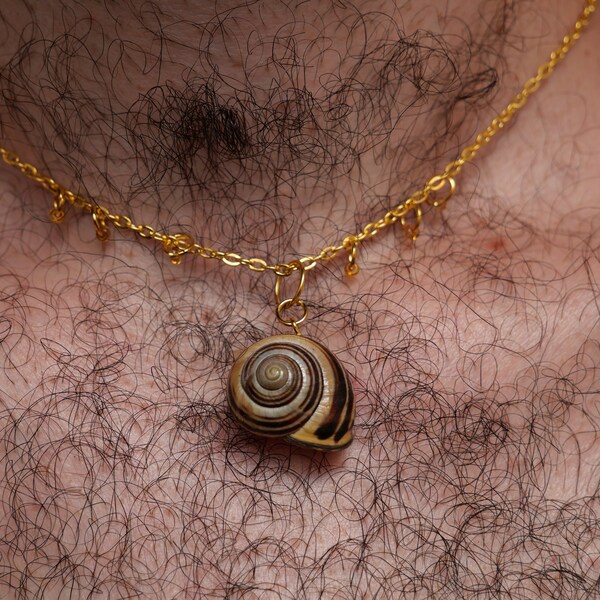 Snail Shell Necklace - Etsy