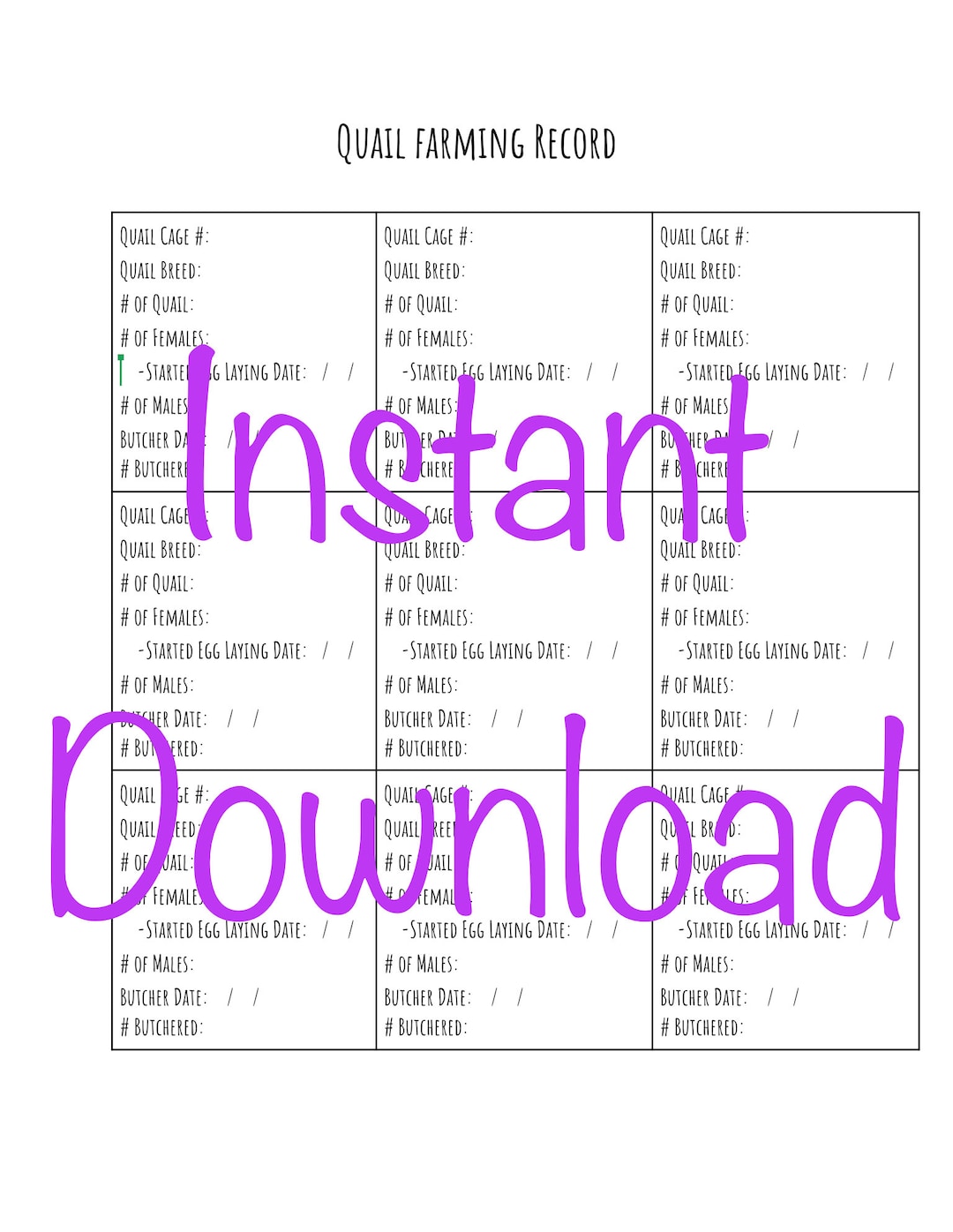 Quail Farming Record, Includes Egg Production, Incubation, Brooding ...