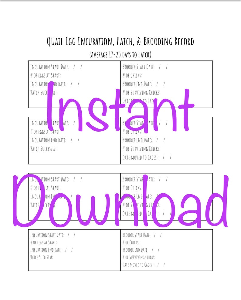 Quail Farming Record, Includes Egg Production, Incubation, Brooding ...